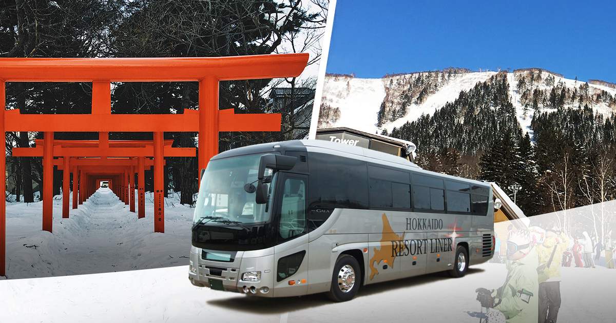 Hokkaido Ski Bus Round-trip Ticket for Sapporo and Tomamu Ski Resort with Lift Ticket, Japan ...